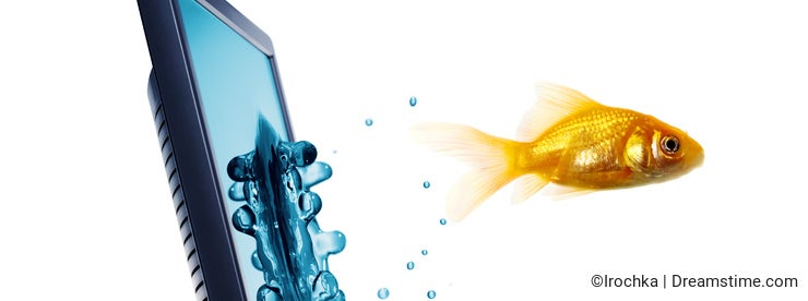 Isolated in Stock Language - Dreamstime