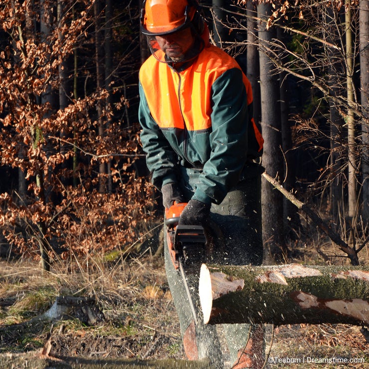 Lumberjack - great day shooting forest work - Dreamstime