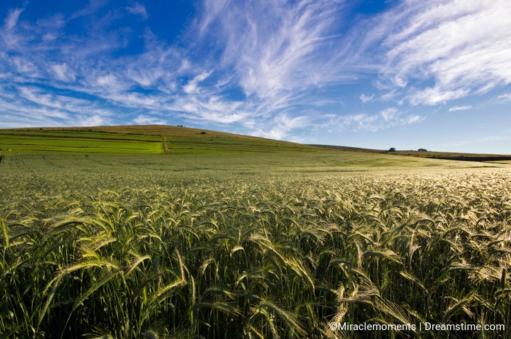 The beauty of farming - Dreamstime