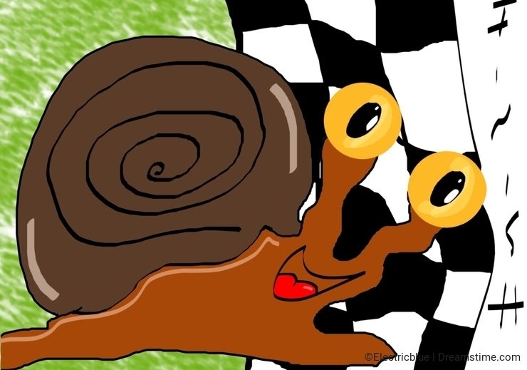 Turbo snail - Dreamstime