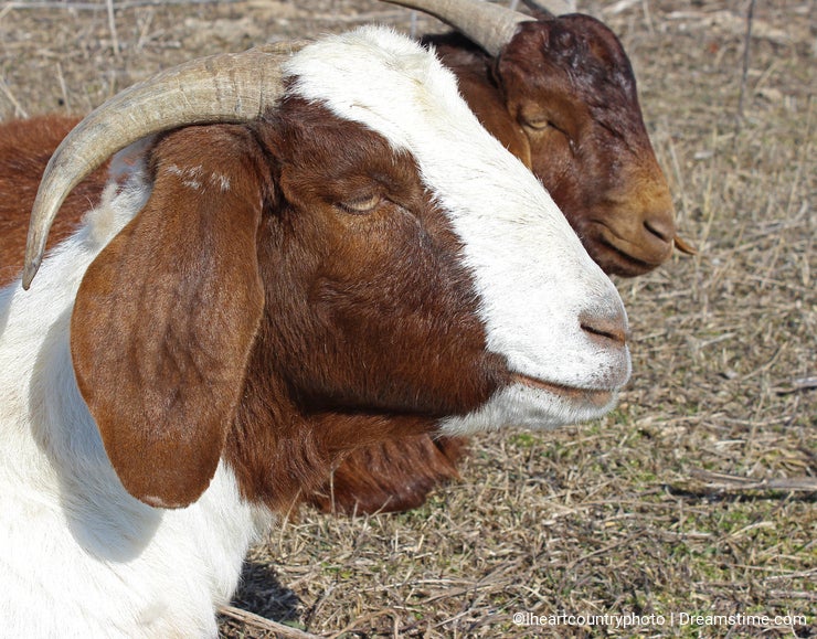 On My Way! - Dreamstime