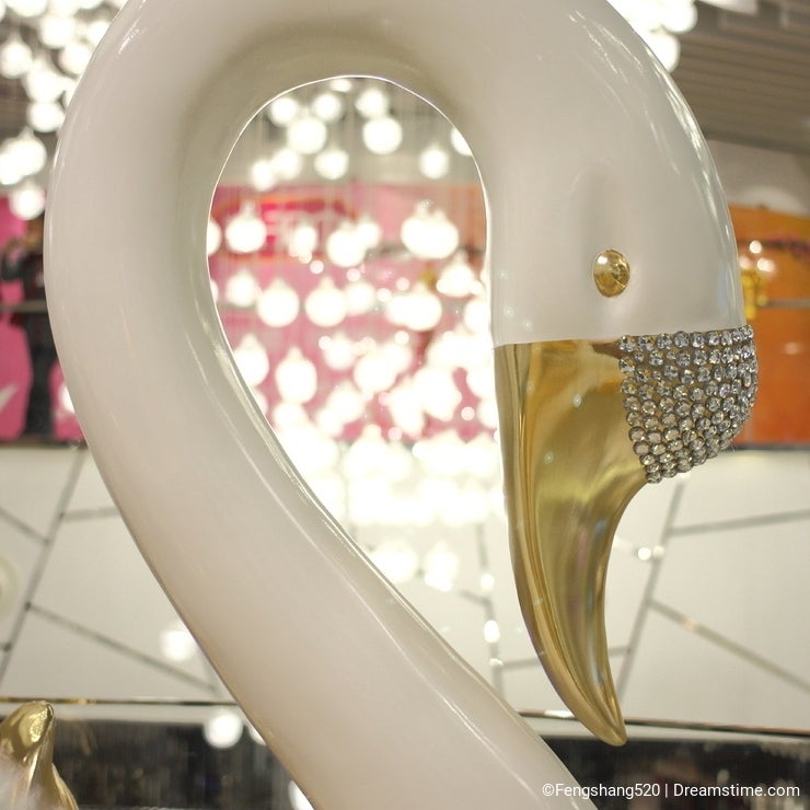 Swan head shape - Dreamstime