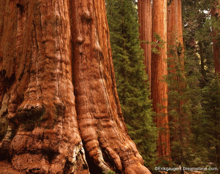 Which country smells best? - Dreamstime