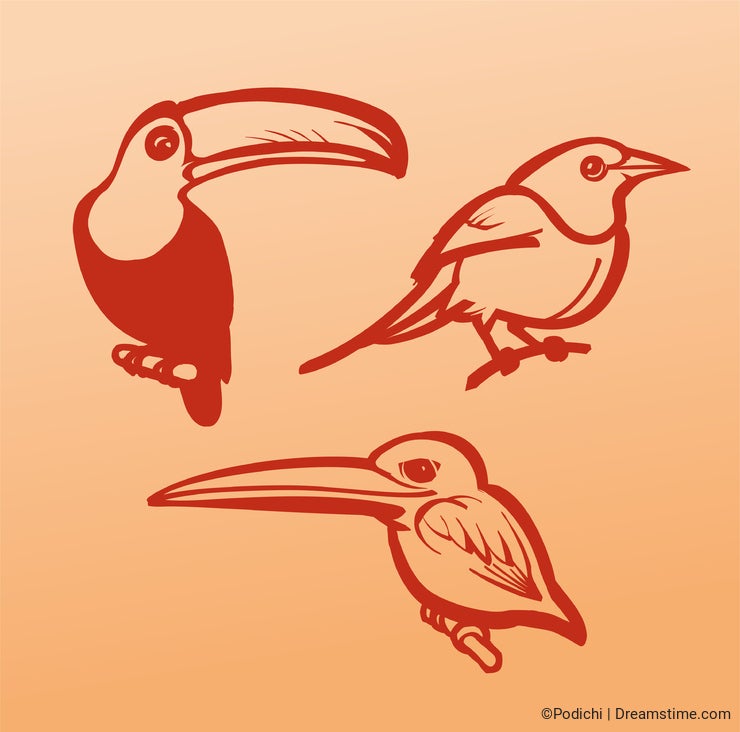 First sale celebration - Dreamstime