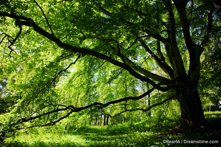 Be creative when choosing background images - Dreamstime