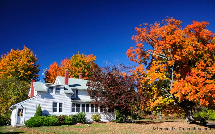 New England Fall Foliage - Dreamstime