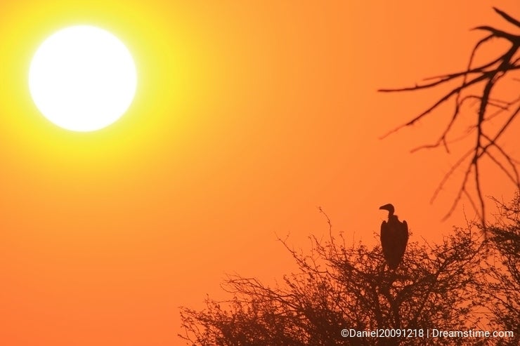 Chasing the sun - Dreamstime