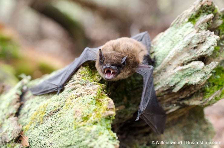 Handle with Care! - Dreamstime