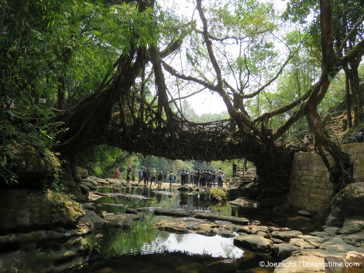 The Root Bridge - Dreamstime