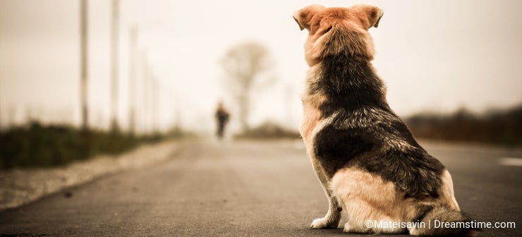 Tip of the week: Choose the right shooting angle - Dreamstime