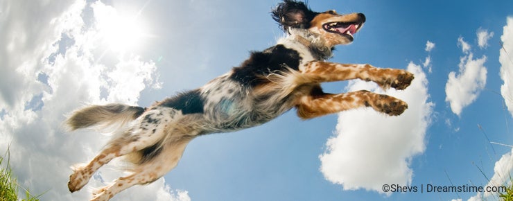 Tip of the week: Choose the right shooting angle - Dreamstime