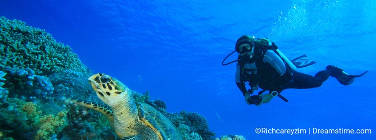 Tips and tricks for taking the perfect underwater shot - Dreamstime