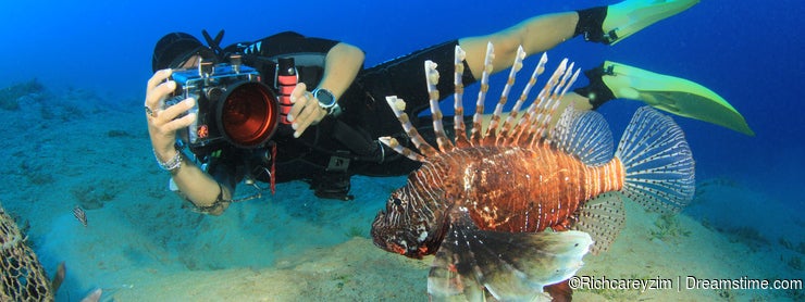 Tips and tricks for taking the perfect underwater shot - Dreamstime