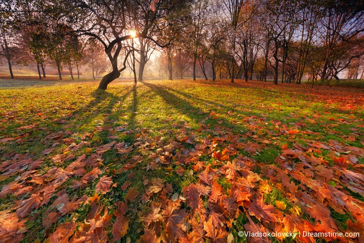 Tip of the Week: Lighten Up Those Shadows - Dreamstime