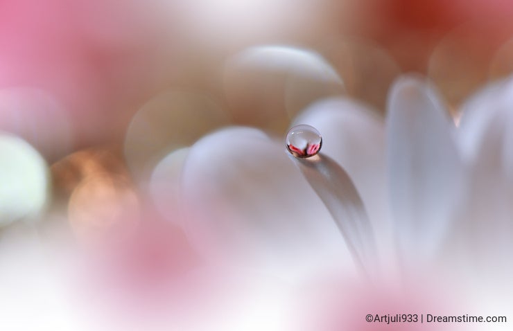 Stock Photography Examples - Dreamstime