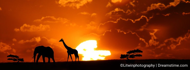 Ecosystems and Landscape Photography: Types and tips - Dreamstime