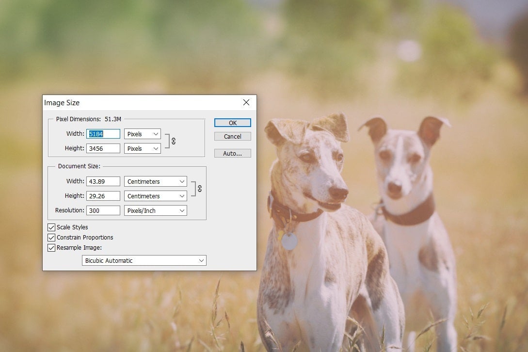 How to change the resolution of a picture - Dreamstime