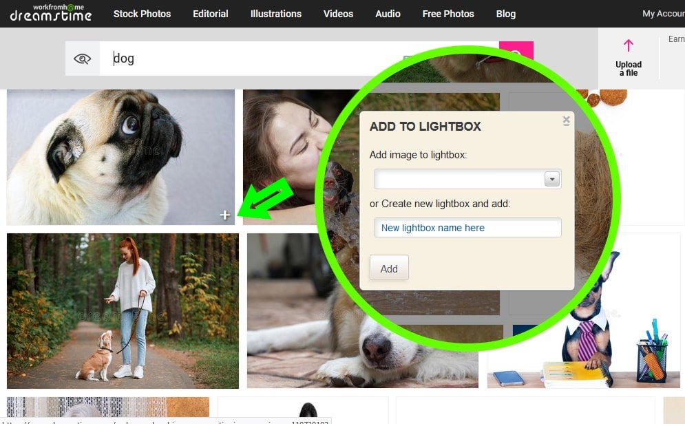 How to download images from Dreamstime - Dreamstime