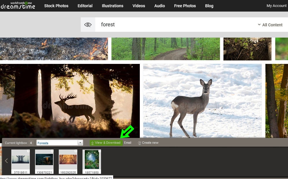 How to download images from Dreamstime - Dreamstime