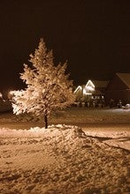 Craig Provan (Cap) - Contributor Profile on Dreamstime