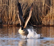 Michael R Erwine (Merwine) - Contributor Profile on Dreamstime