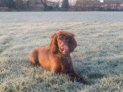 Jamie Matthias (Borrasparkjamie) - Photos