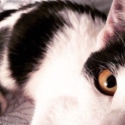 Ancale - Photographer profile