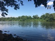 Andy Roa (Mireya26andrade) - Contributor Profile on Dreamstime