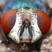 Jordan Roper (Jroper1) - Exclusive Photos