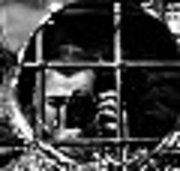 Marco Cardinali (Marcocardinali71) - Photographer profile