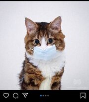 Olga Chernenko (Helga280295) - Photographer profile