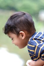 Kangaroo and Australian Flag at Sunrise Stock Footage - Video of ...