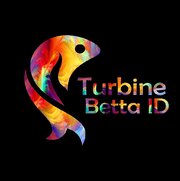 Turbine Betta (Turbinebetta) - Photos