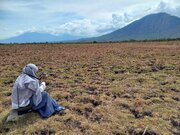 Desifa Santi (Desifaks) - Contributor Profile on Dreamstime