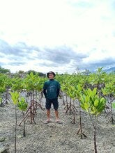 Muhammad Najib (Warnaalam961) - Photos