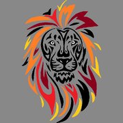 Vicugna stock photo. Image of furry, ecuador, huacaya - 269866102