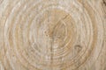 Free image of tangential cut wood grain