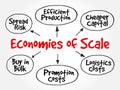 Economies Of Scale Mind Map Flowchart Royalty-Free Stock Photo ...