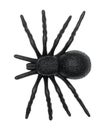 Image of plastic toy spider | CreepyHalloweenImages