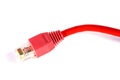 Free image of Two red ethernet network cable plugs