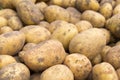 Farm fresh unwashed potatoes - Free Stock Image