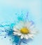 Abstract Daisy Flower Painting. Stock Illustration - Illustration of ...