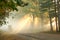 Amish in Morning Mist stock photo. Image of rural, amish - 21600138