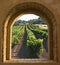 Arched Window on the Vineyard Stock Photo - Image of farming, idyllic ...