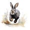 Back Lined Rabbit is Running on White Background Stock Illustration ...