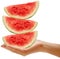 Balancing watermelons stock image. Image of juicy, hand - 121441