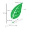 Basic Illustration of Simple Leaf Anatomy Stock Illustration ...