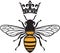 Bee Queen Color Vector stock vector. Illustration of honeybee - 261316889