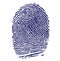 Blue Fingerprint stock vector. Illustration of fingerprint - 4060951