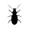 Bug black and white logo stock vector. Illustration of flat - 177849231